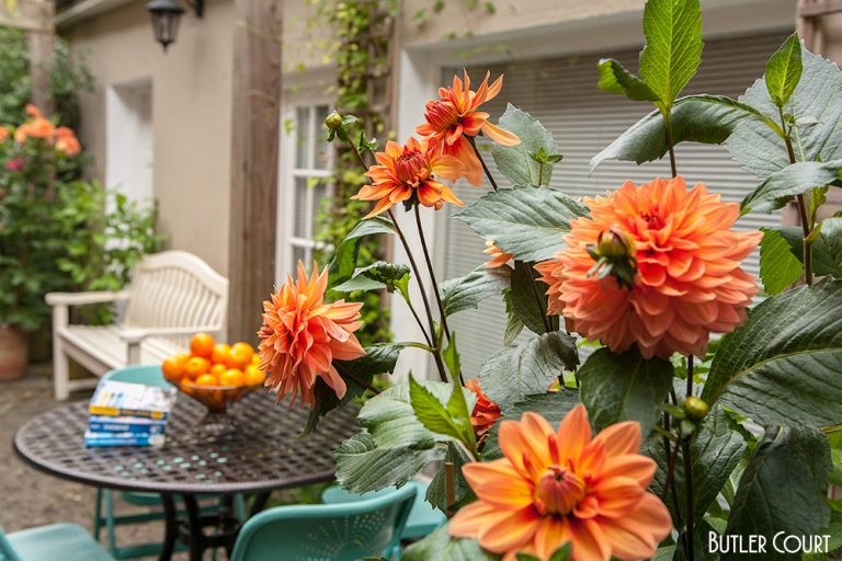 Welcome - Butler Court Guest Accommodation