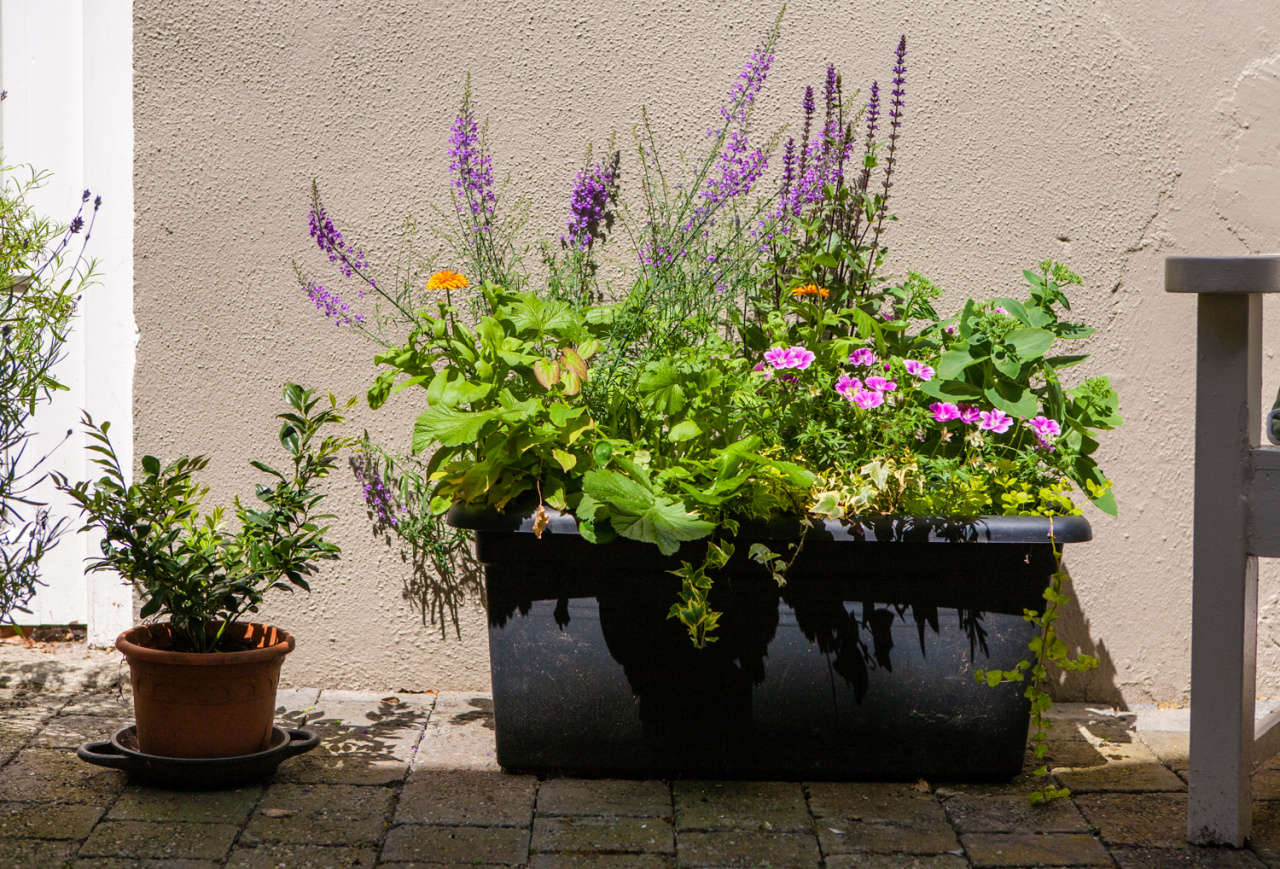 Photo Gallery - Butler Court Guest Accommodation